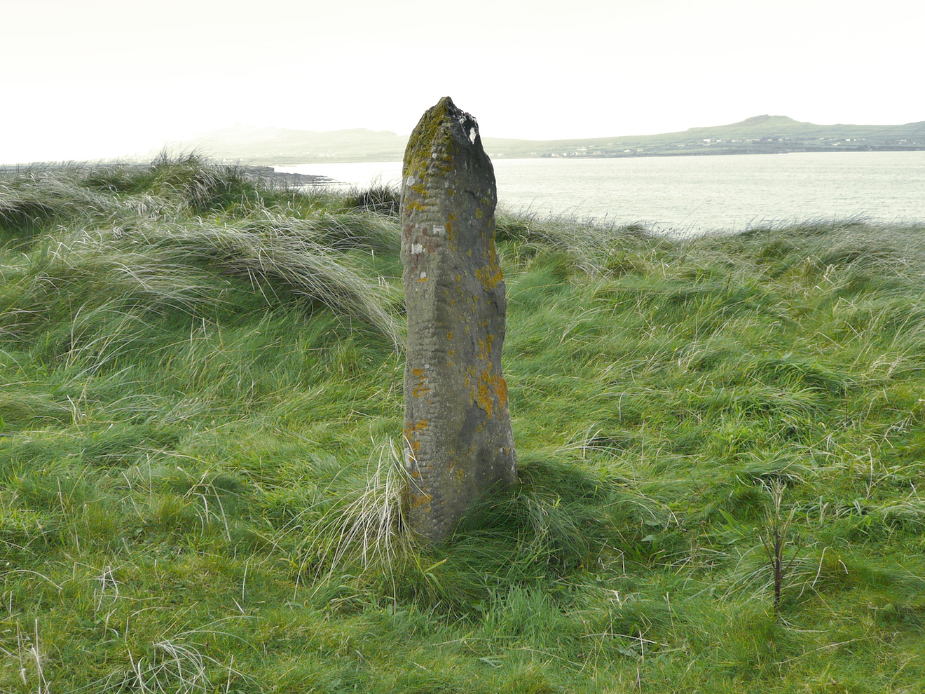Ogham stone in a grassy field