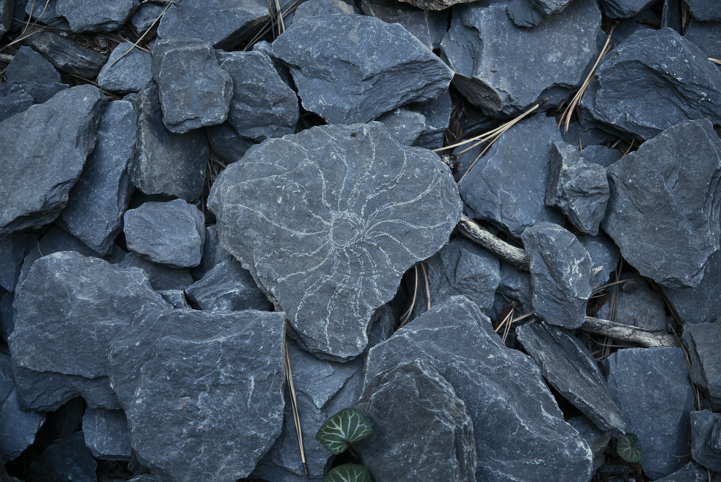 Ephemeral rock drawings done in different locations and times.