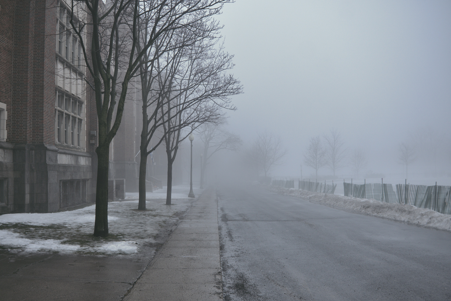An old brick school with a row of trees disappearing in the fog