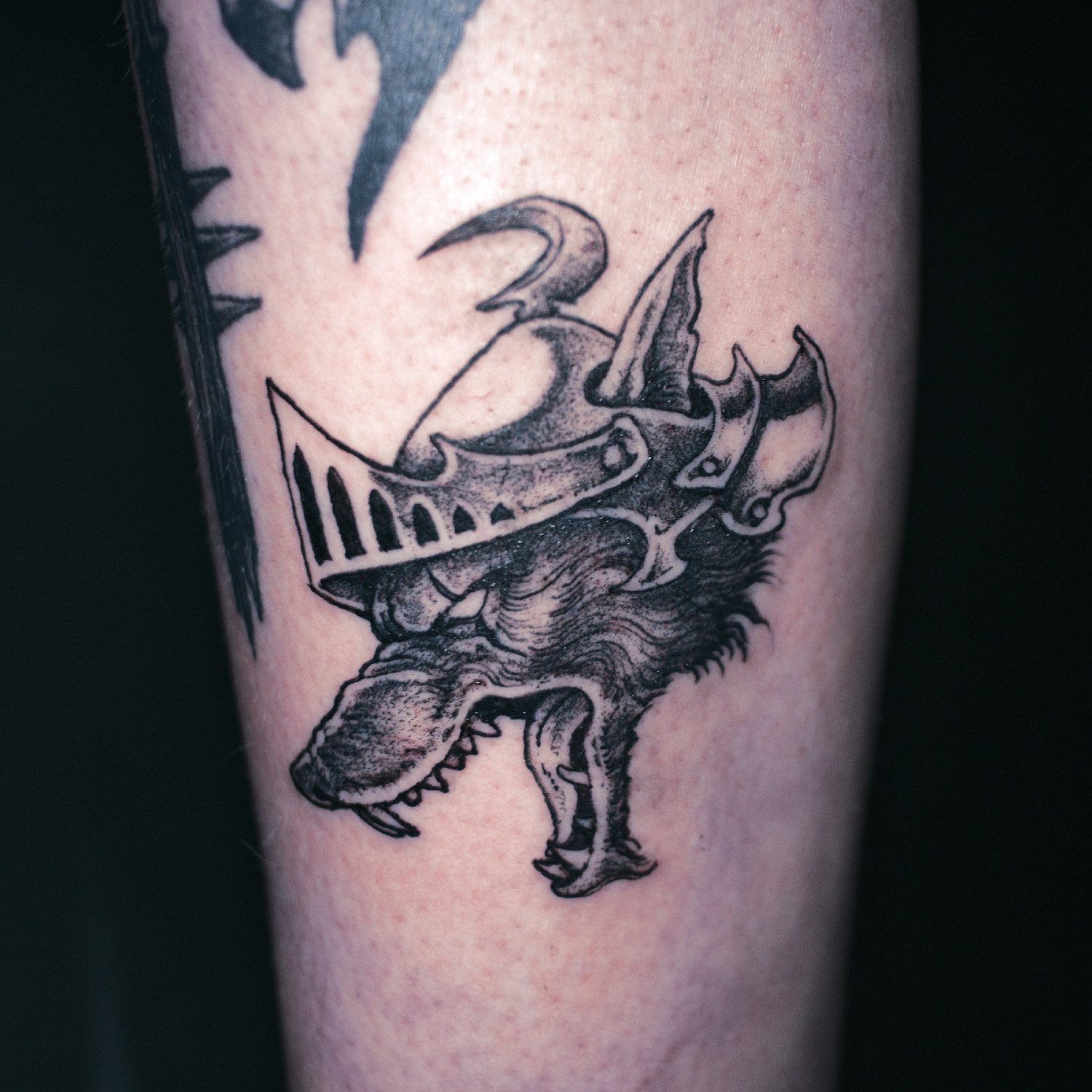 Wolf with helmet